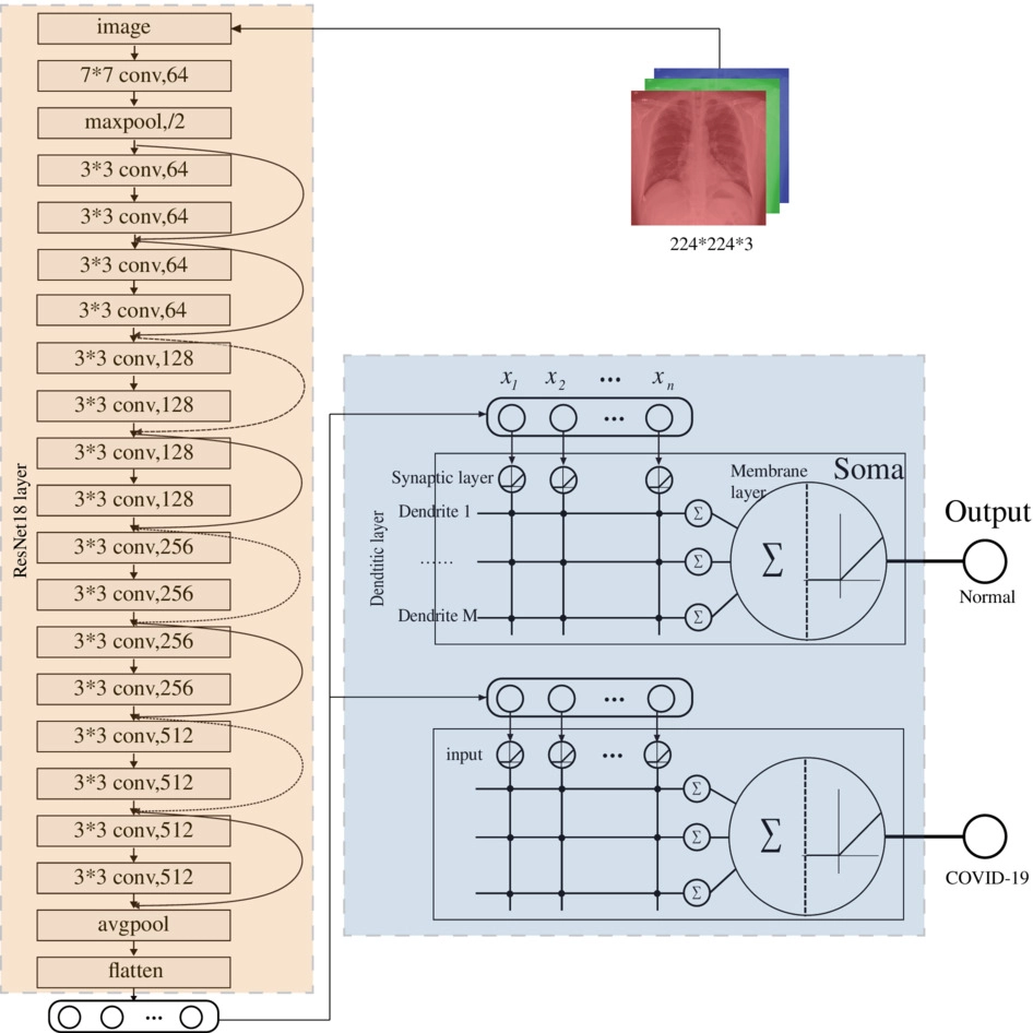 Designing neural networks based on dendritic neuron model | WeAI ...